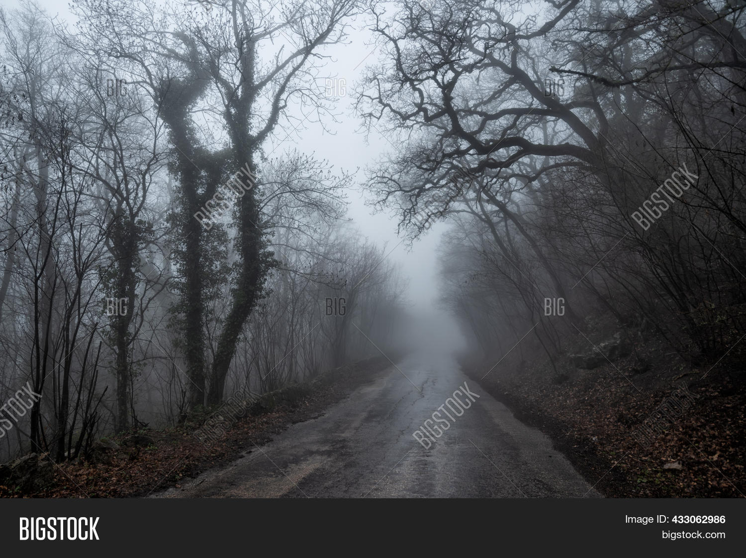 Old Dilapidated Image & Photo (Free Trial) | Bigstock