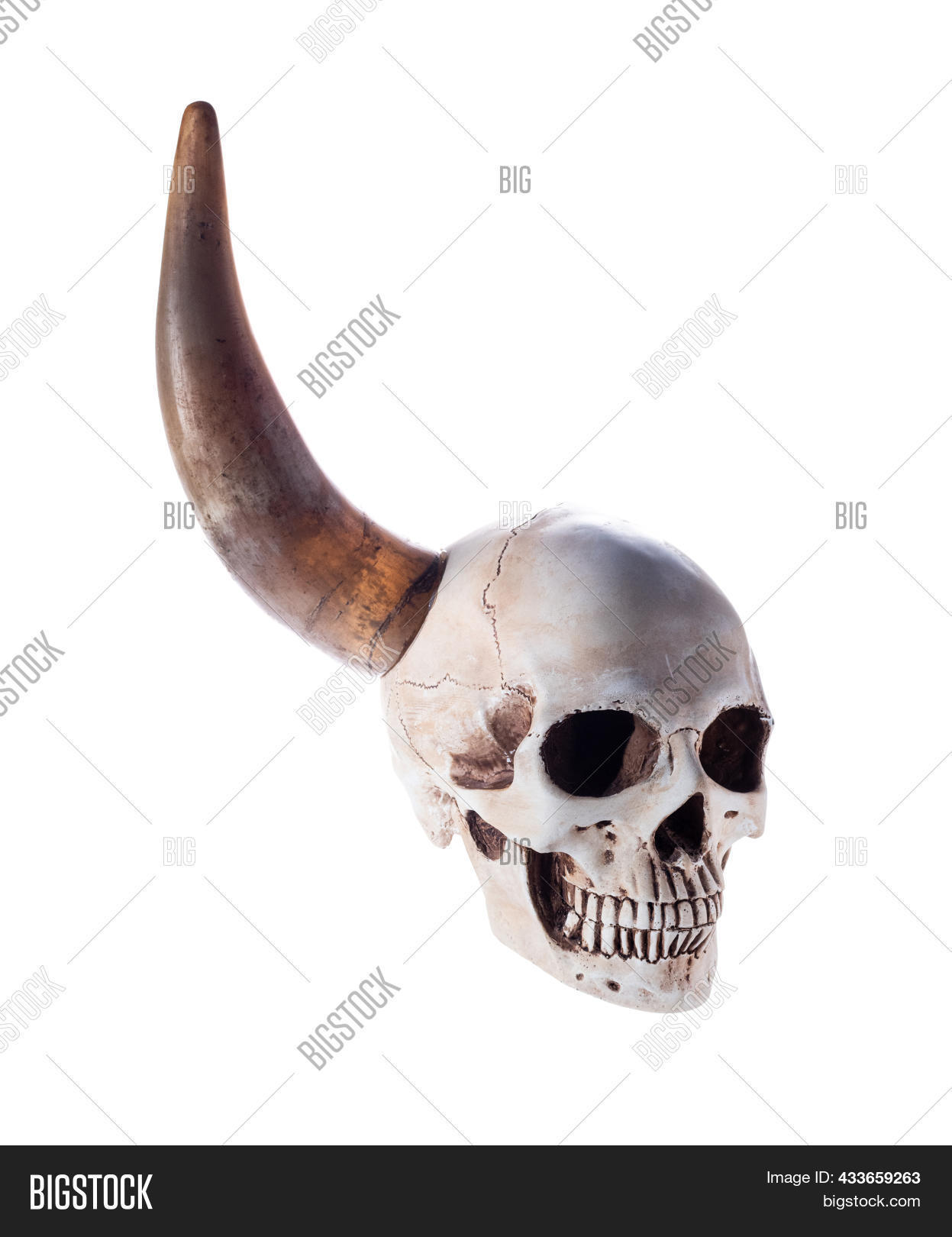 One-horned Skull On Image & Photo (Free Trial) | Bigstock