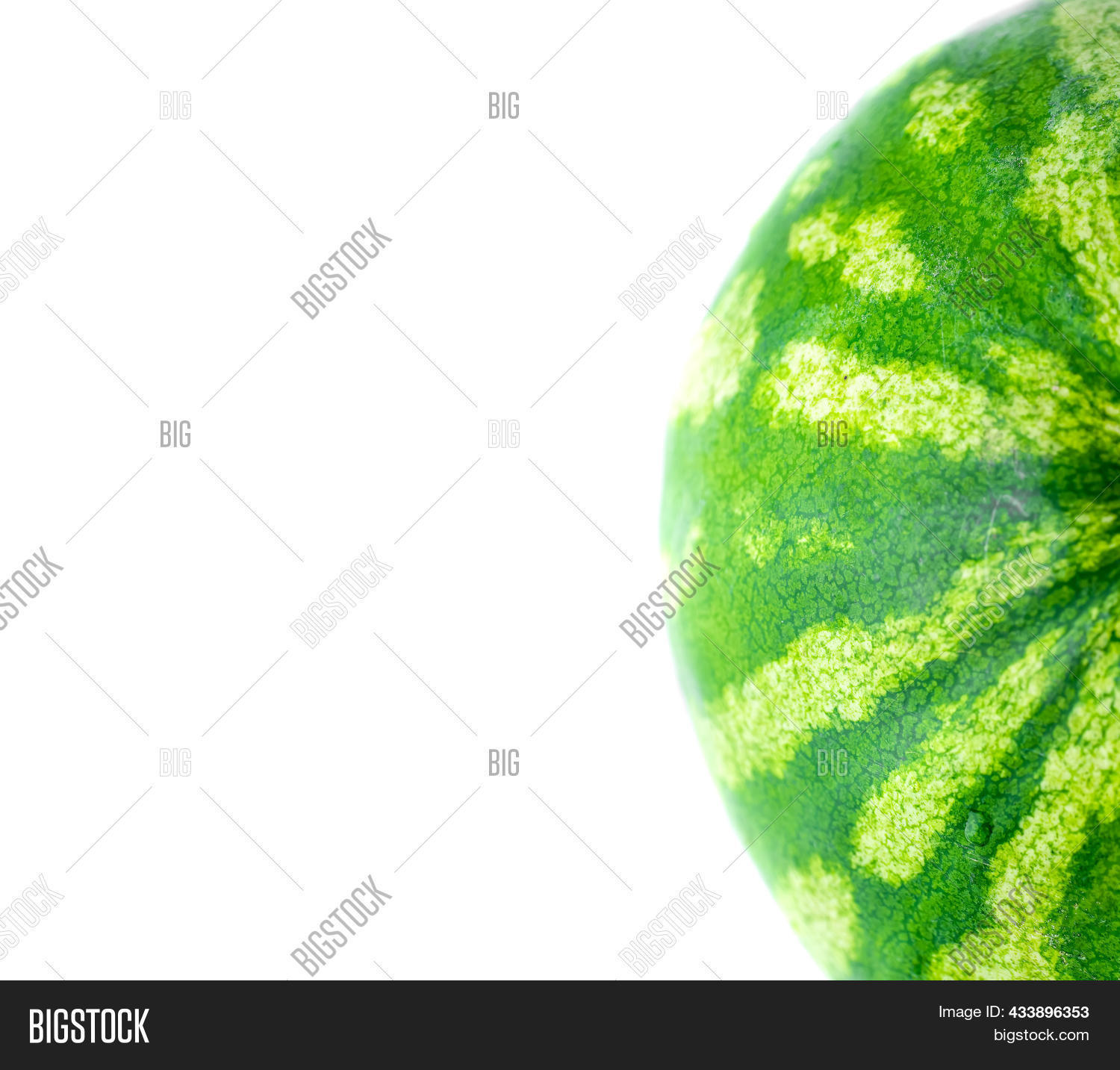 Whole Watermelon On Image & Photo (Free Trial) | Bigstock