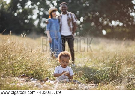 Blur Background Image & Photo (Free Trial) | Bigstock