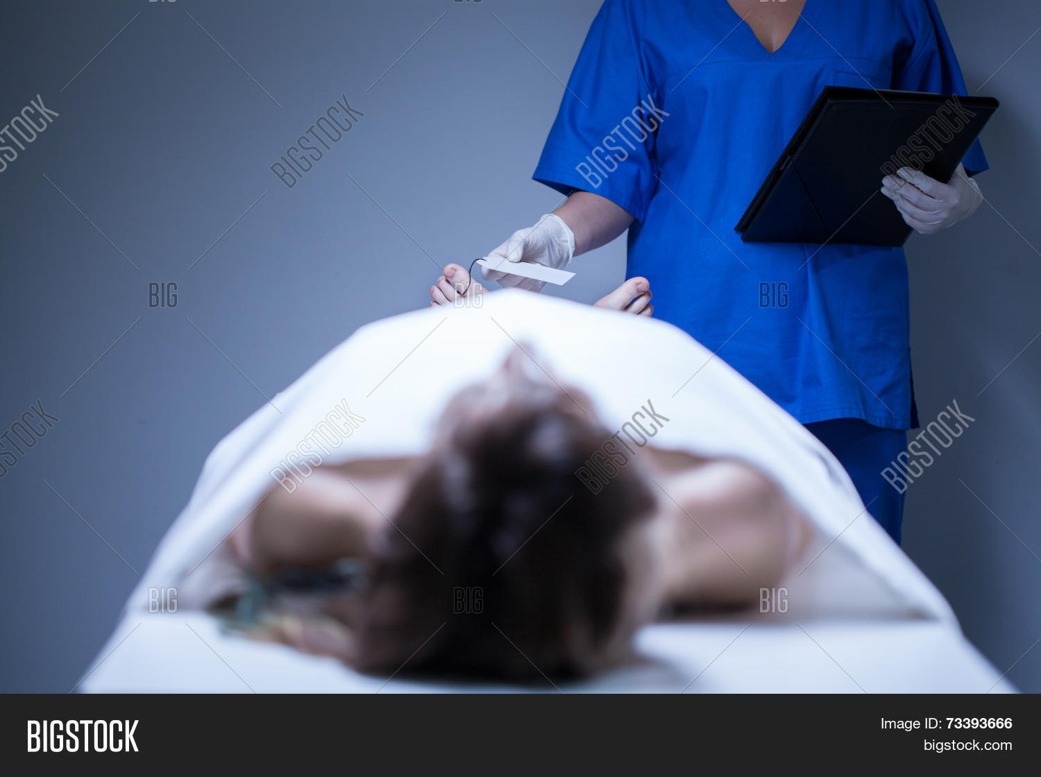 Corpse Woman Morgue Image & Photo (Free Trial) | Bigstock