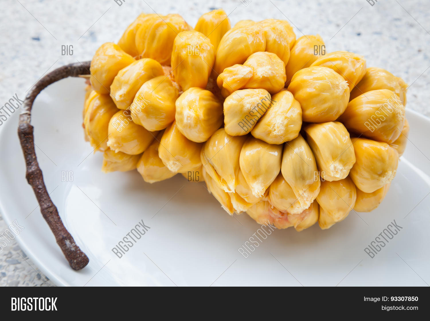 Group Fresh Chempedak Image & Photo (Free Trial) | Bigstock