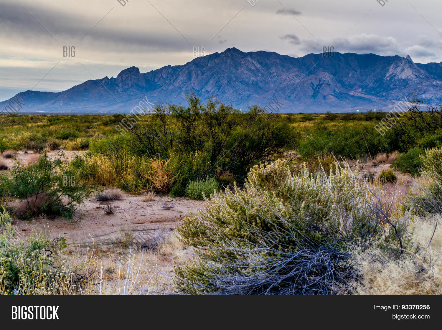 West Texas Landscape Image & Photo (Free Trial) | Bigstock