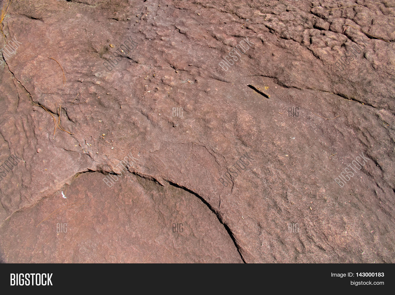 Pattern On Sandstone Image & Photo (Free Trial) | Bigstock