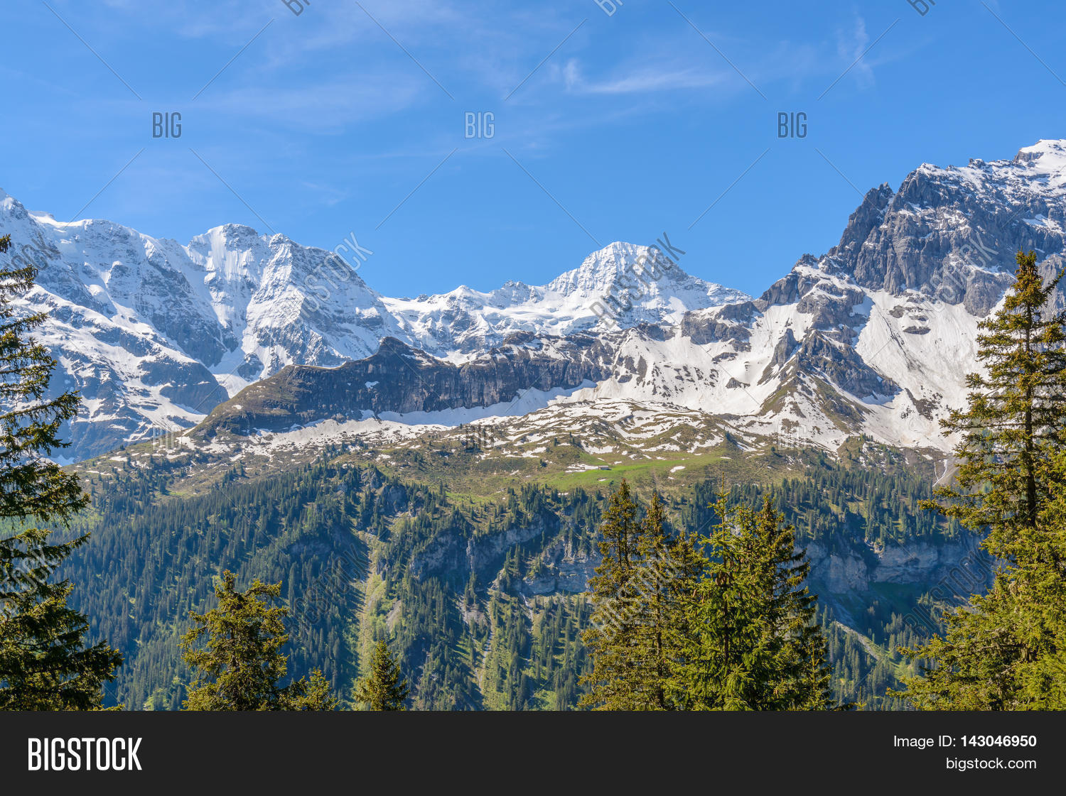 Swiss Alps Murren, Image & Photo (Free Trial) | Bigstock