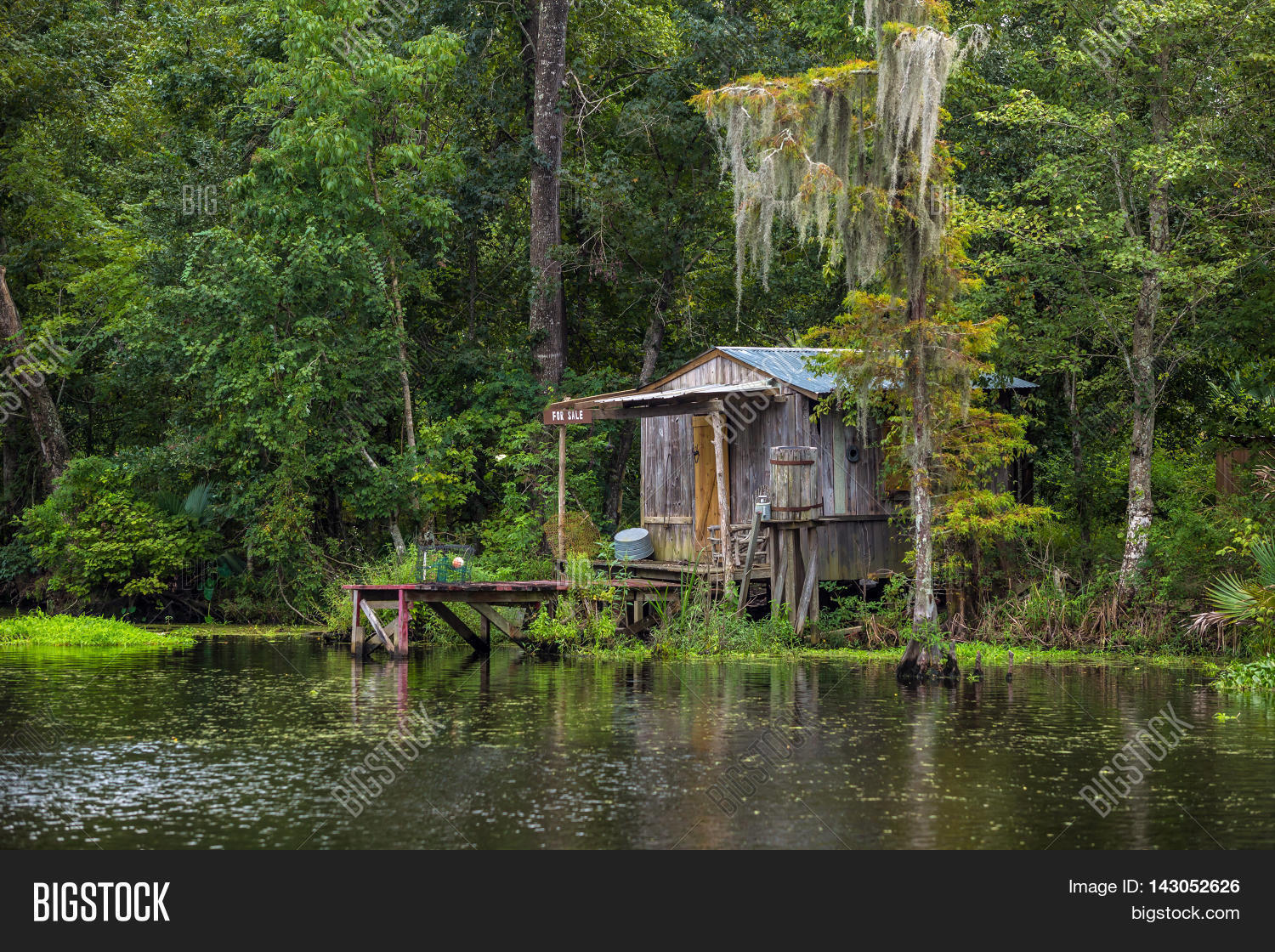 Old House Swamp New Image & Photo (Free Trial) | Bigstock
