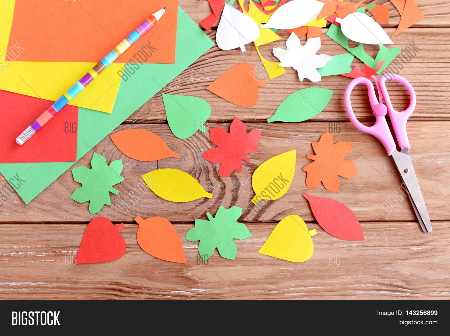 Autumn Colorful Leaves Image & Photo (Free Trial) | Bigstock