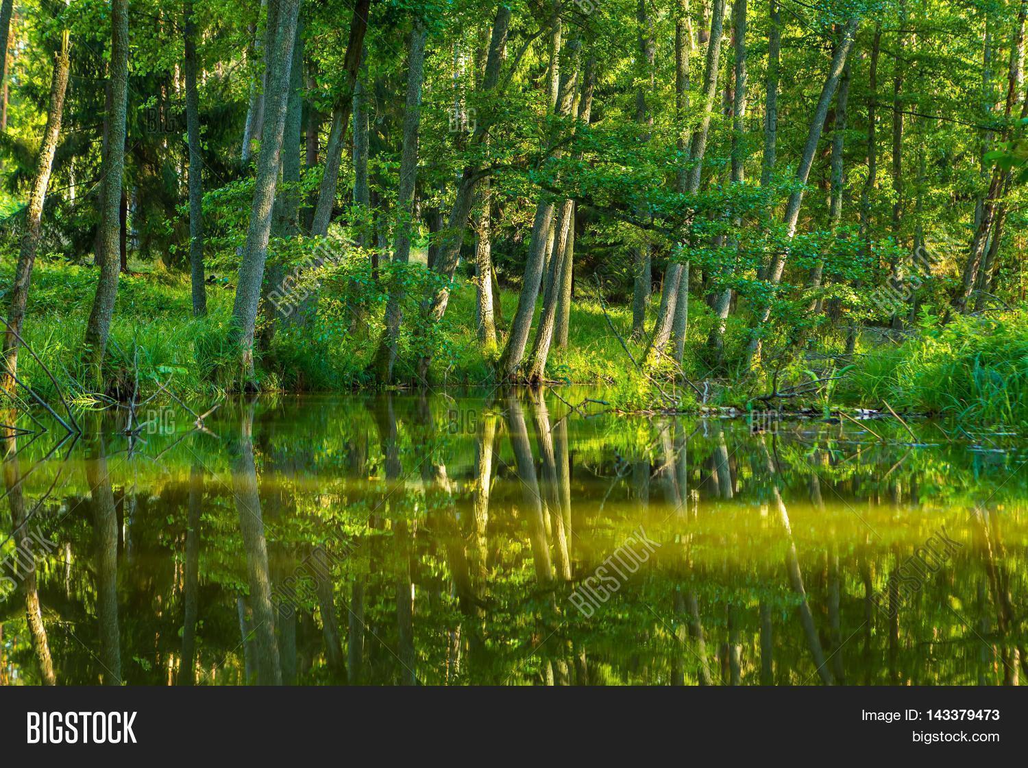 Kayaking By Wild River Image & Photo (Free Trial) | Bigstock