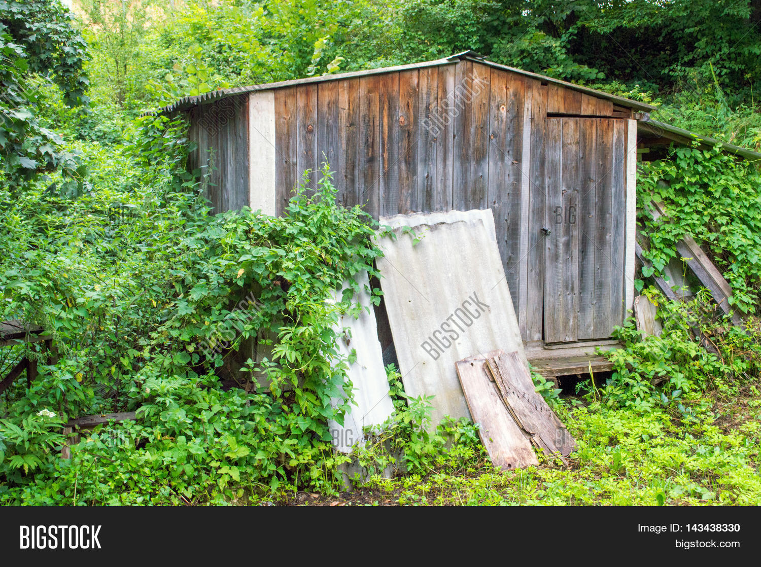 Old Wooden Shed Forest Image & Photo (Free Trial) | Bigstock