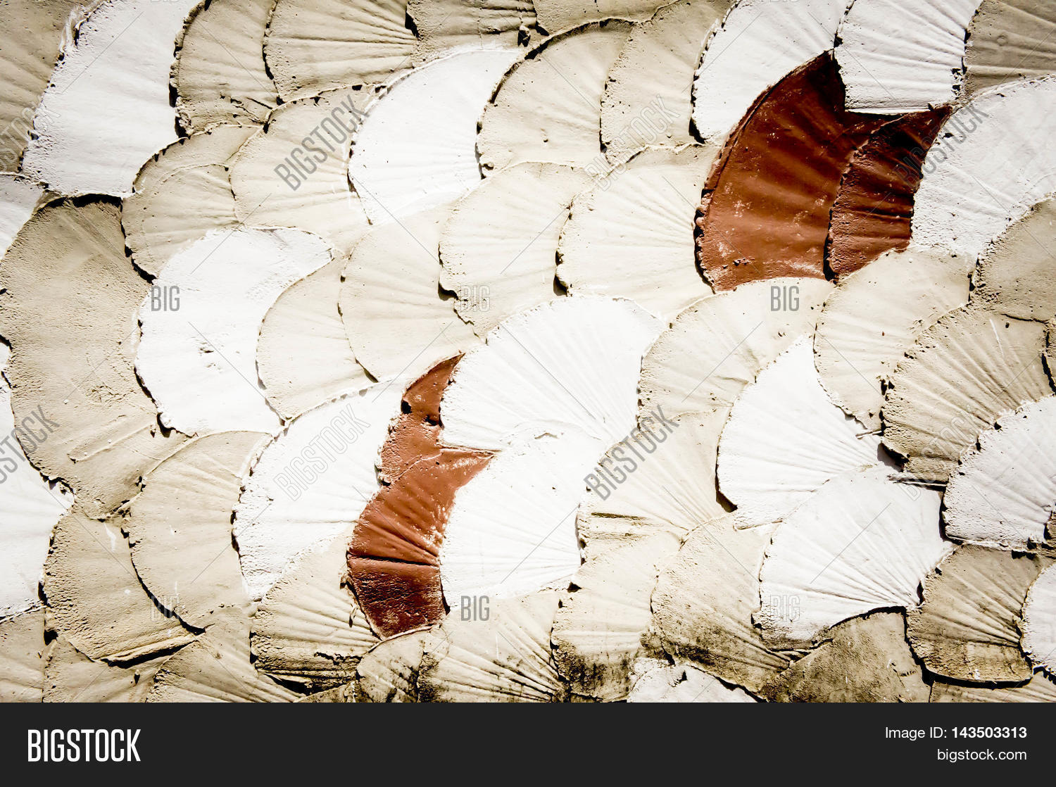 Abstract Scallops Image & Photo (Free Trial) | Bigstock