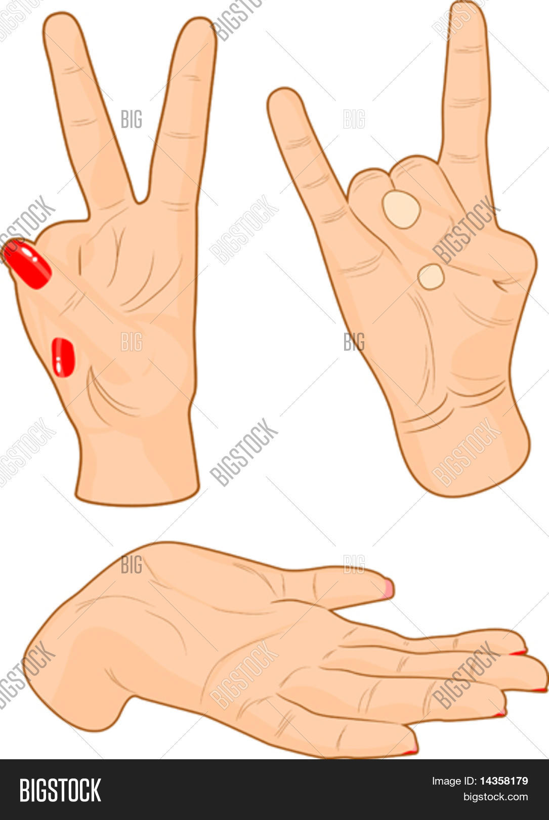 Three Hand Signs. Vector & Photo (Free Trial) | Bigstock