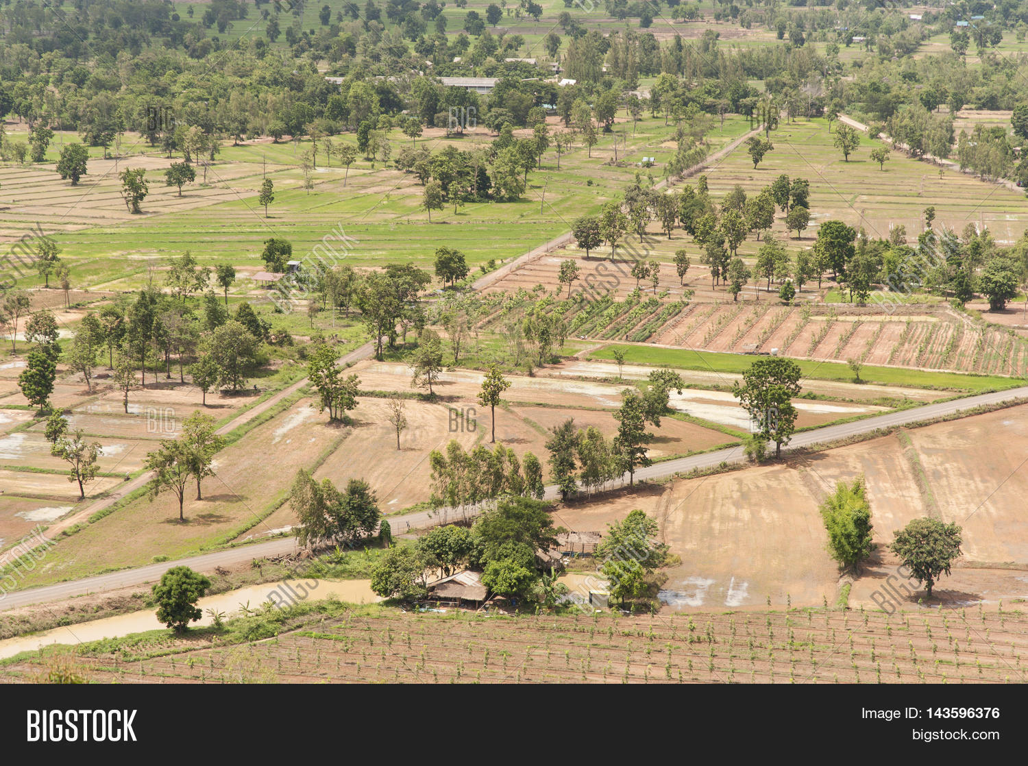 Tropical Forest Image & Photo (Free Trial) | Bigstock