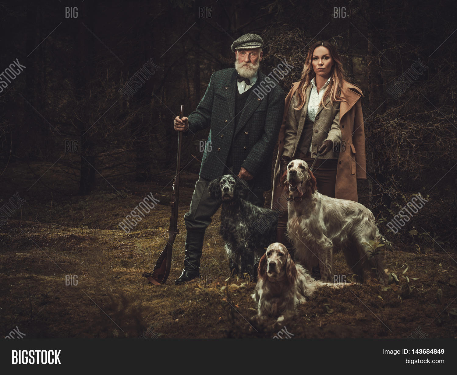 Two Hunters Dogs Image & Photo (Free Trial) | Bigstock