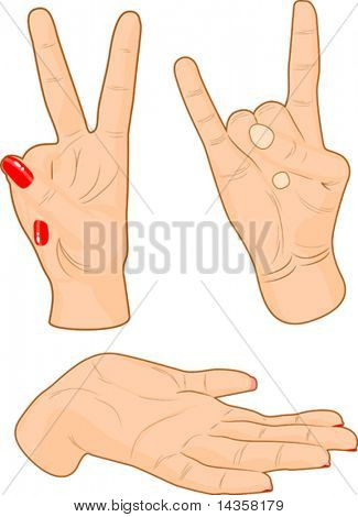 Three Hand Signs. Vector & Photo (Free Trial) | Bigstock