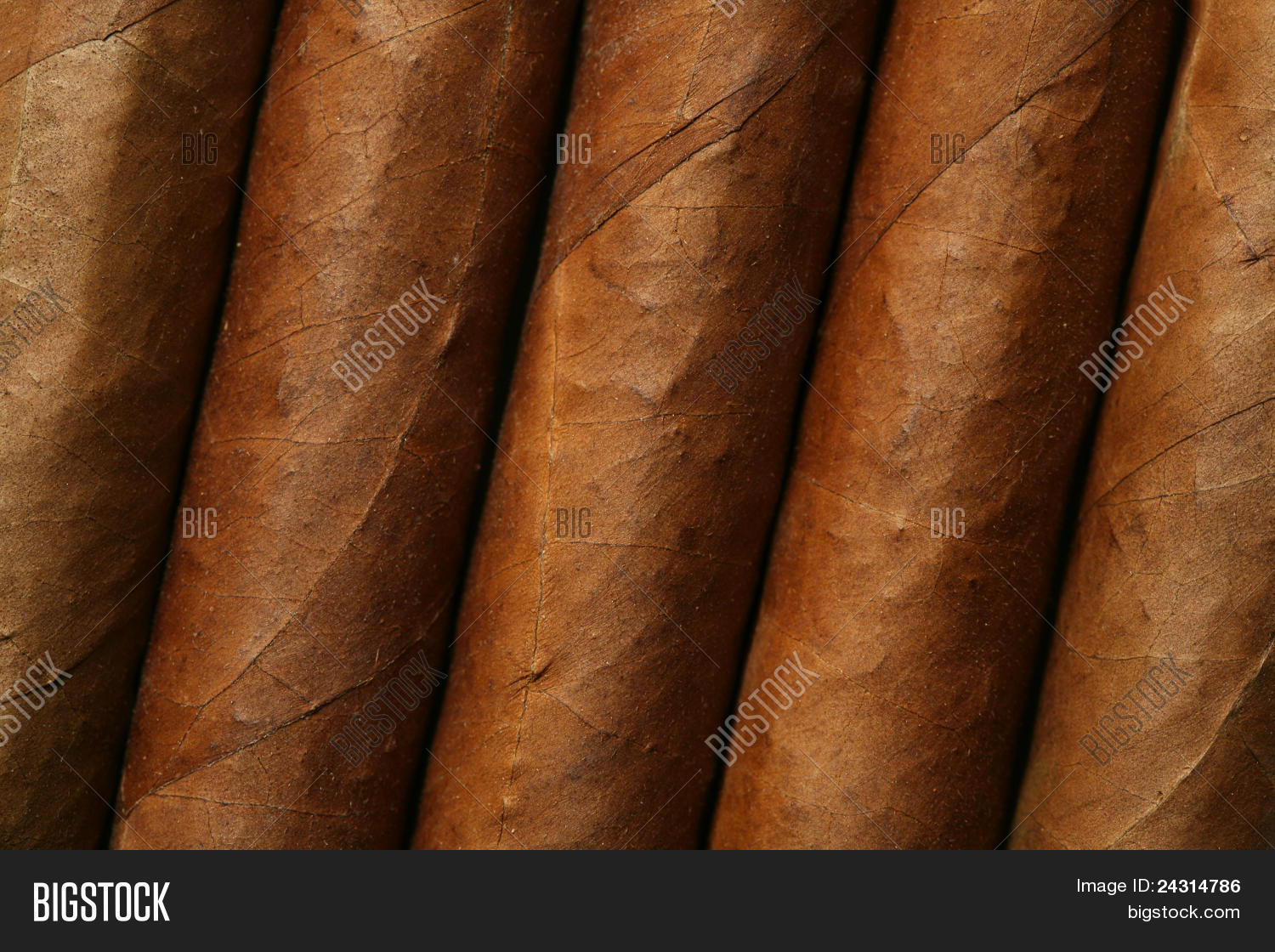 Havana Cigars Texture Image & Photo (Free Trial) | Bigstock