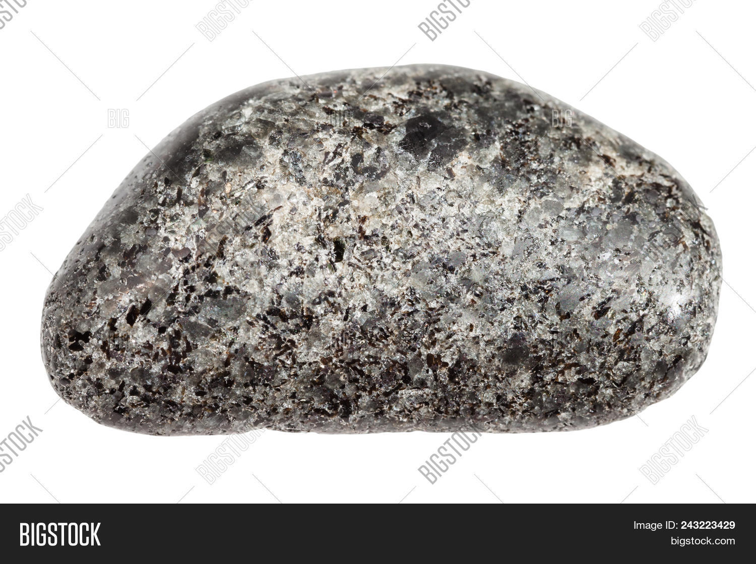 Macro Shooting Natural Image & Photo (Free Trial) | Bigstock
