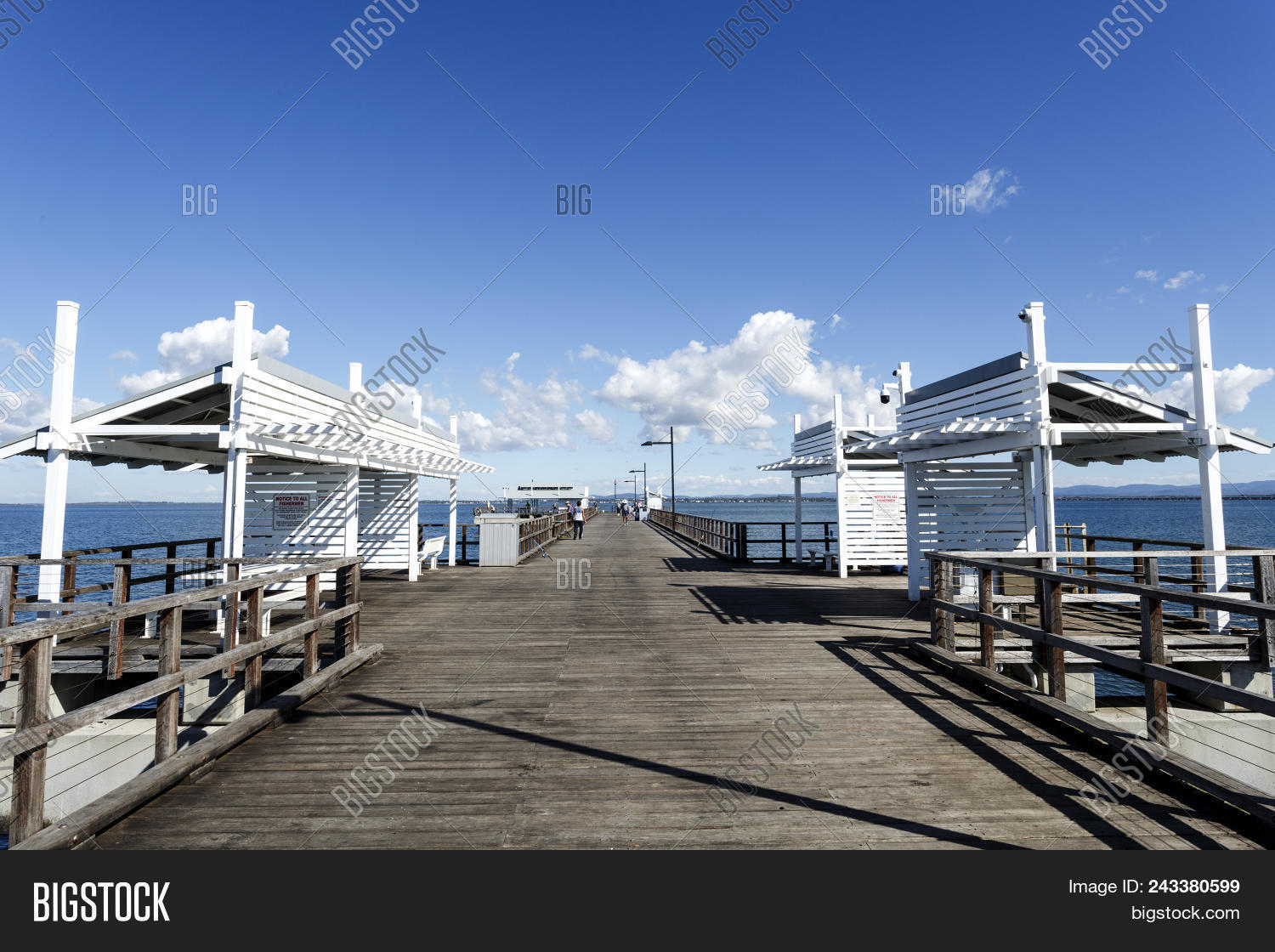 Detail View Woody Image & Photo (Free Trial) | Bigstock