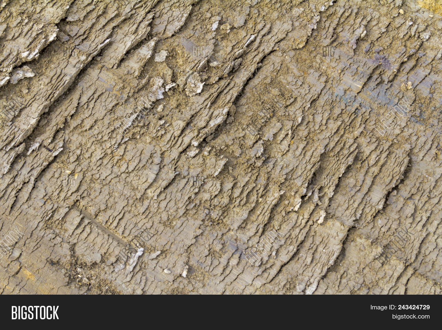 Beautiful Colored Full Image & Photo (Free Trial) | Bigstock