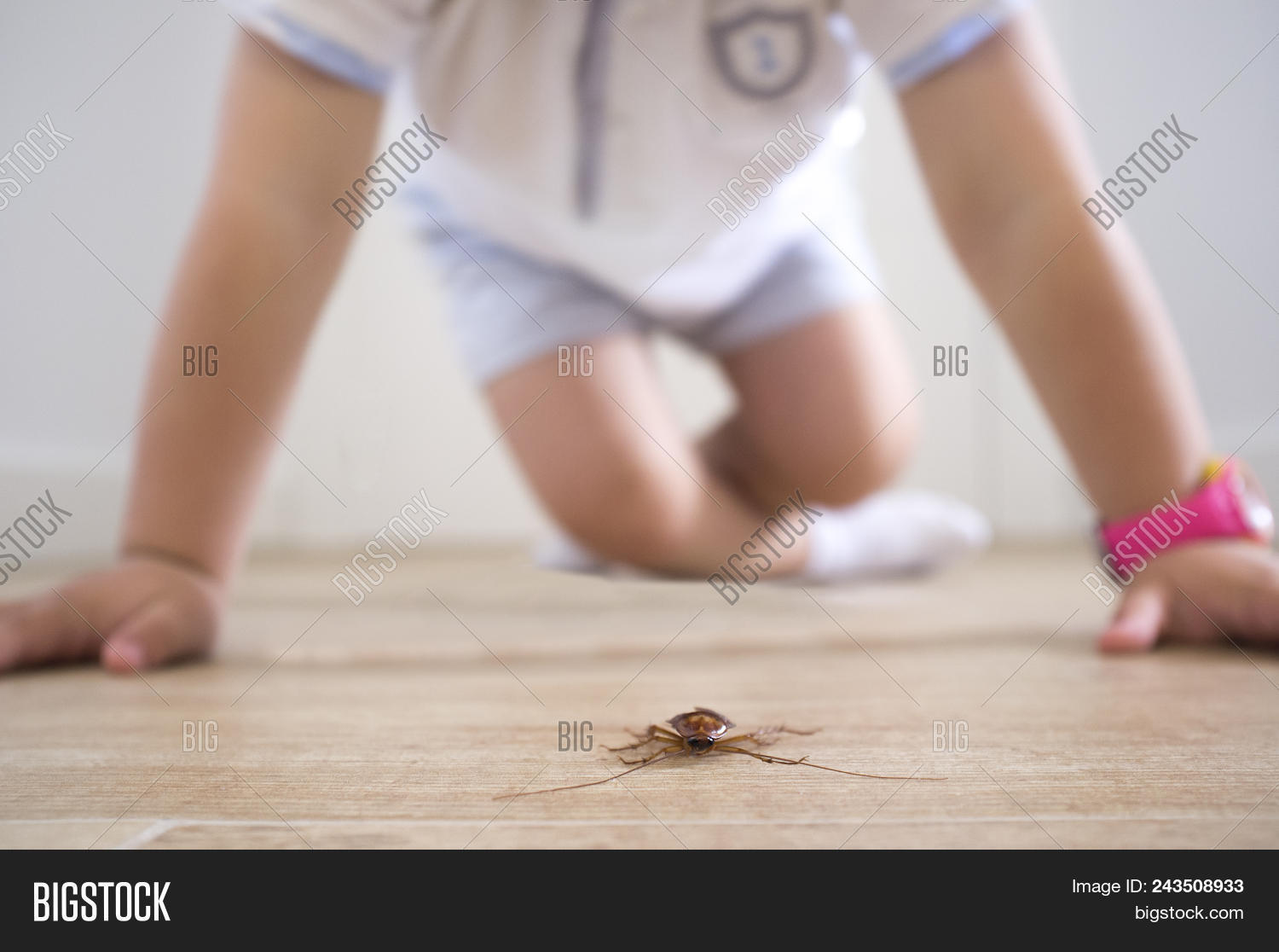 Little Boy Close Image & Photo (Free Trial) | Bigstock