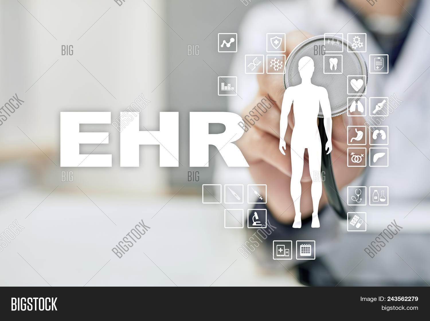 Ehr, Emr, Electronic Image & Photo (Free Trial) | Bigstock
