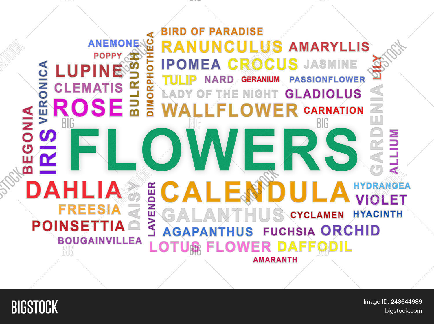 Flowers Word Cloud Image & Photo (Free Trial) | Bigstock