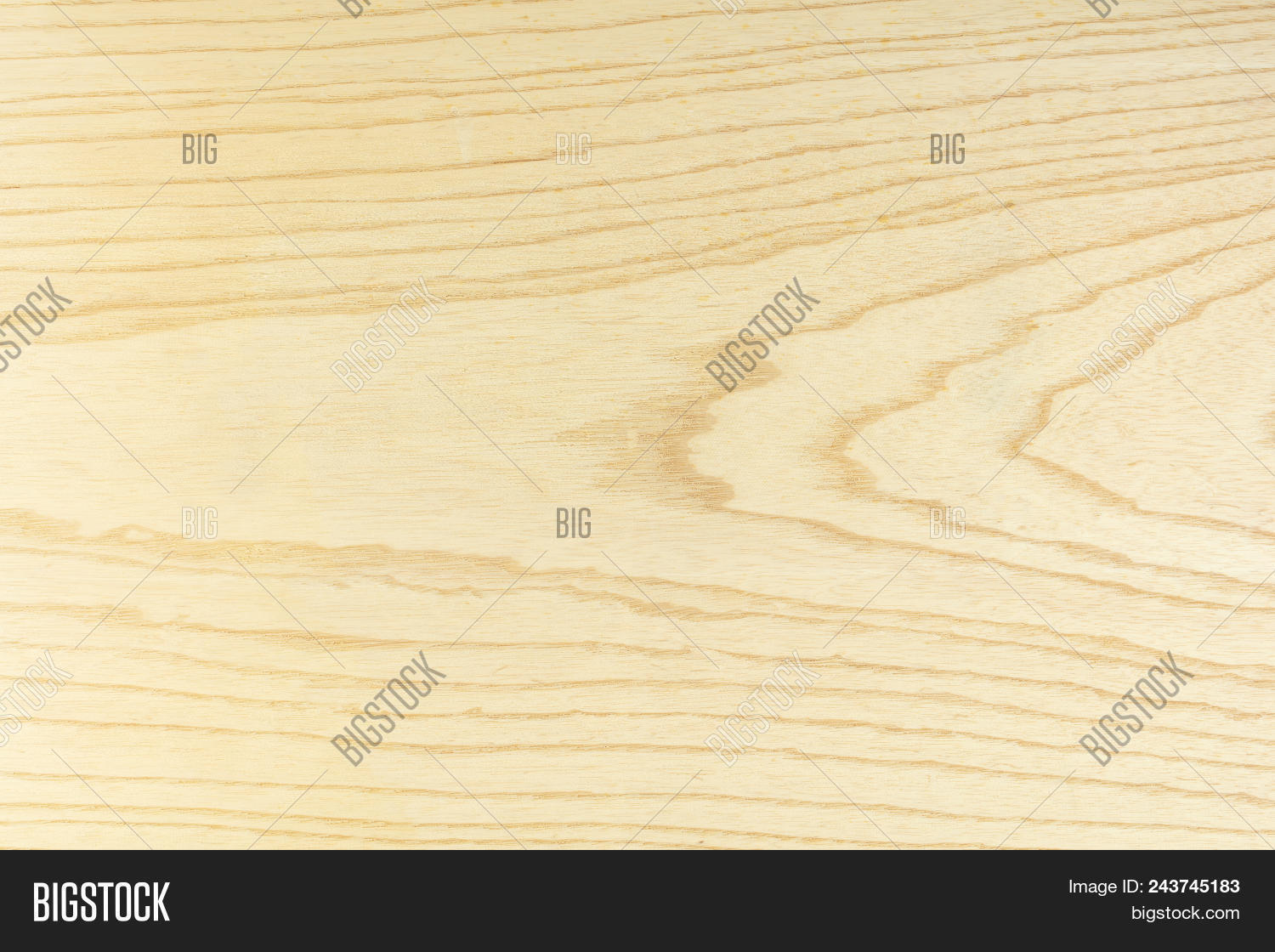 Ash Wood High Res Texture