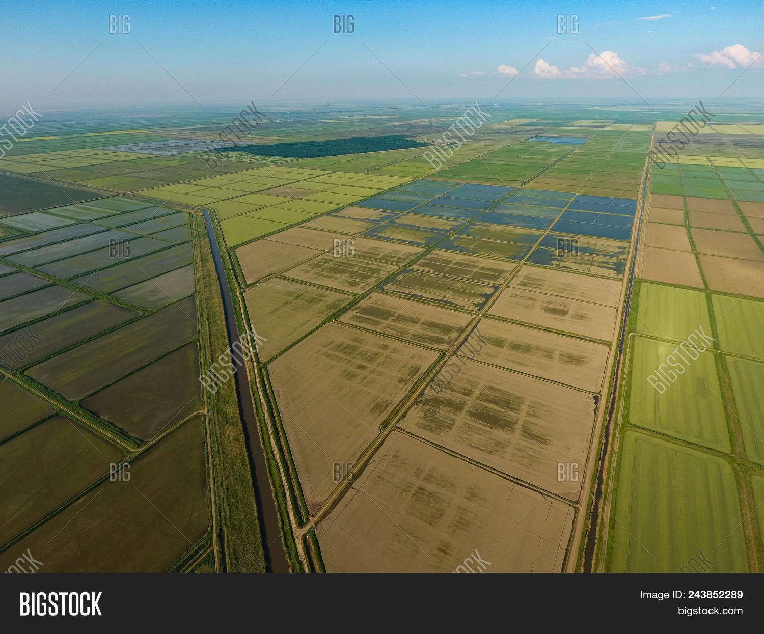 Rice Fields Flooded Image & Photo (Free Trial) | Bigstock
