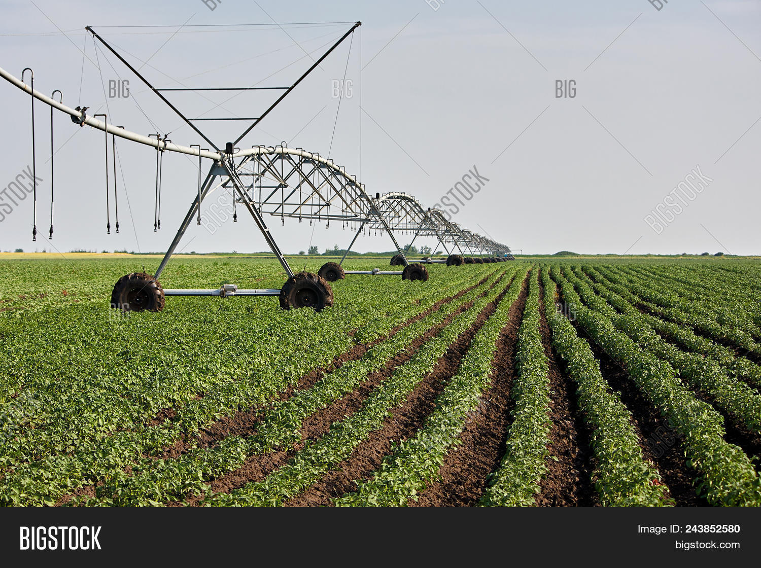 Center Pivot Sprinkler Image & Photo (Free Trial) | Bigstock