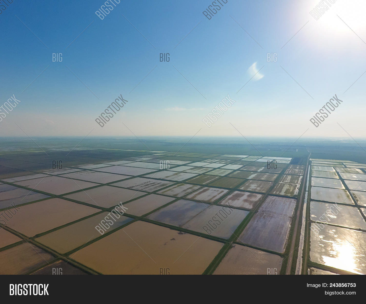 Rice Fields Flooded Image & Photo (Free Trial) | Bigstock