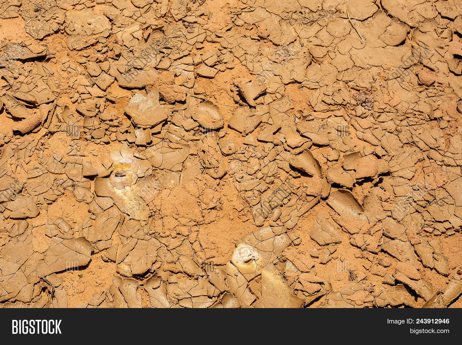 Barren Land Texture