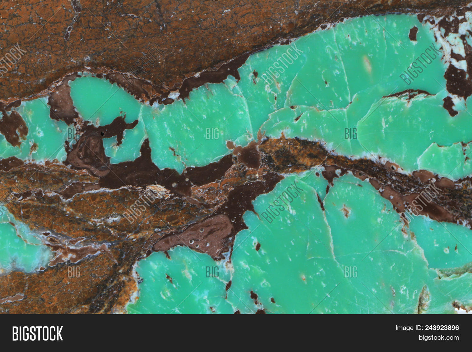 Chrysoprase Mineral Image & Photo (Free Trial) | Bigstock