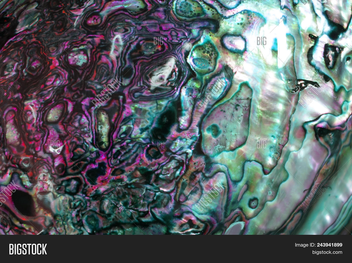 Natural Pearl Texture Image & Photo (Free Trial) | Bigstock