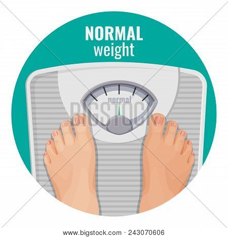 Normal Weight Human Vector & Photo (Free Trial) | Bigstock