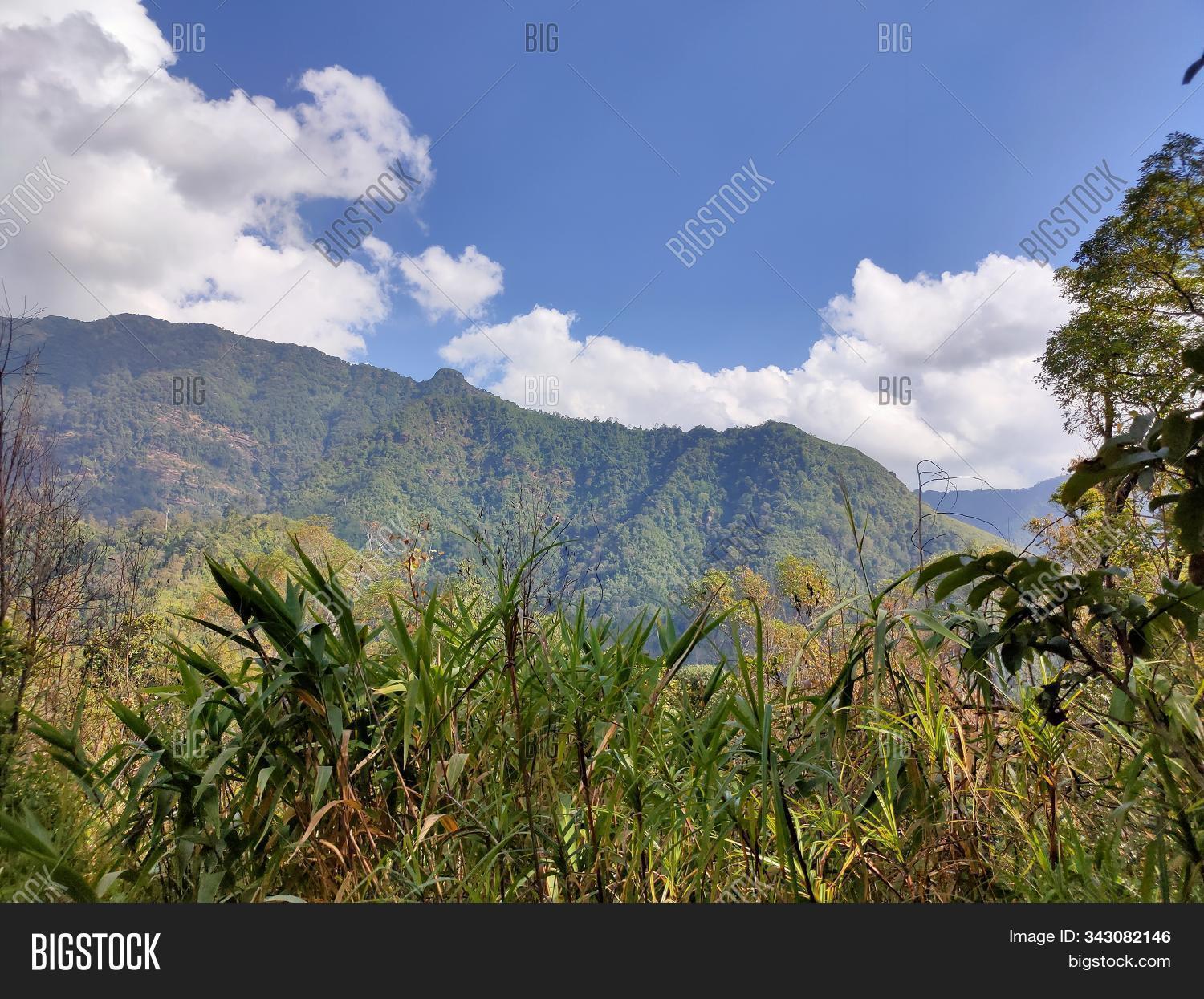 Green Valley Nature Image & Photo (Free Trial) | Bigstock