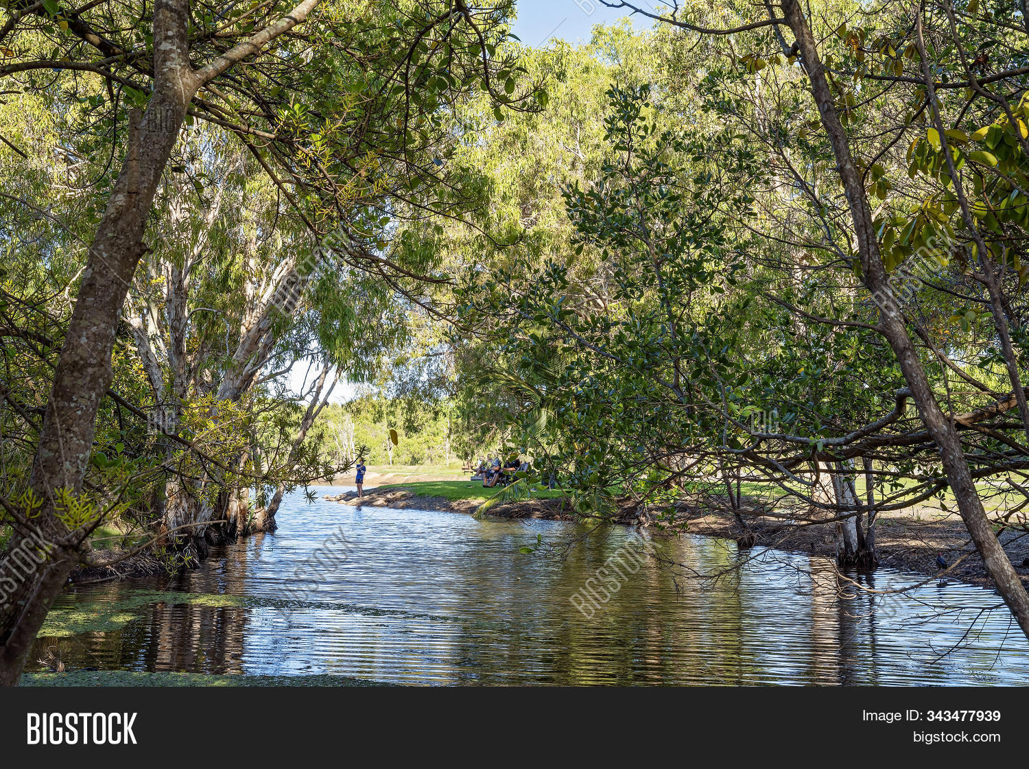 Mackay, Queensland, Image & Photo (Free Trial) | Bigstock