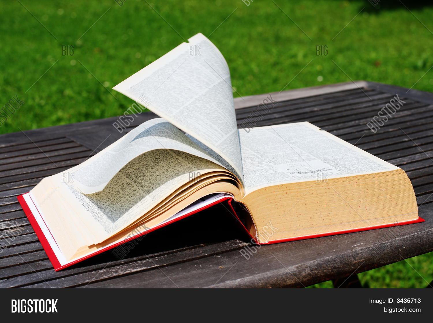 Wind Blowing Through Image & Photo (Free Trial) | Bigstock