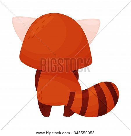 Adorable Red Panda Vector & Photo (Free Trial) | Bigstock