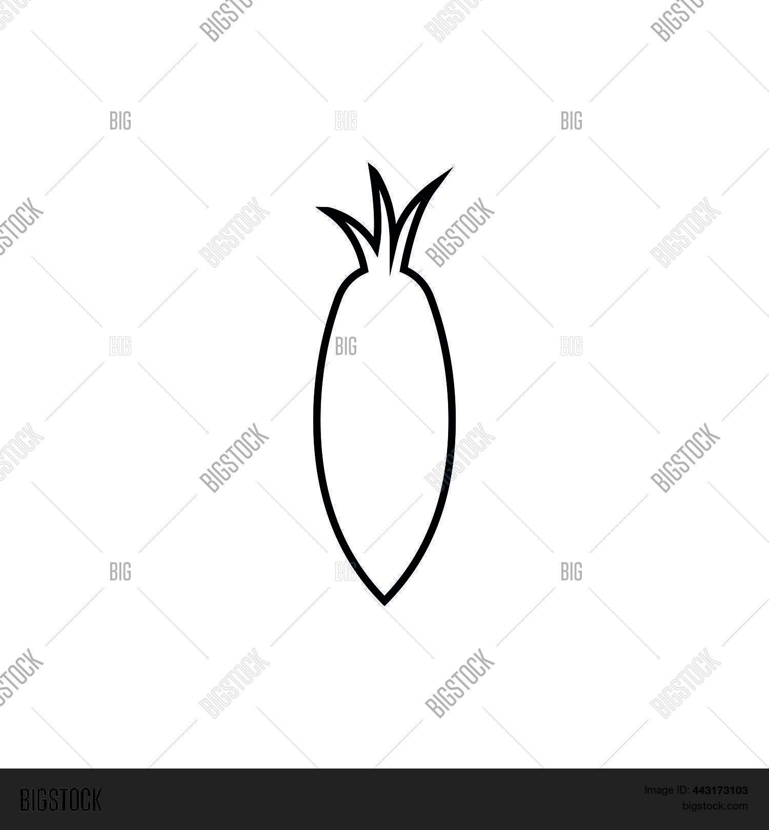 Carrot Line Icon. Vector & Photo (Free Trial) | Bigstock