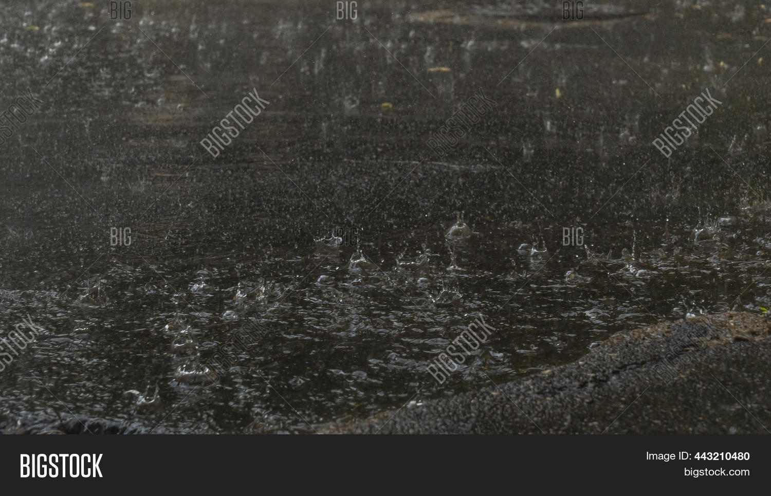 Raindrops Hitting Image & Photo (Free Trial) | Bigstock