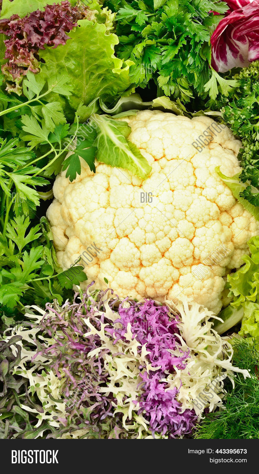 Background Leafy Image & Photo (Free Trial) | Bigstock