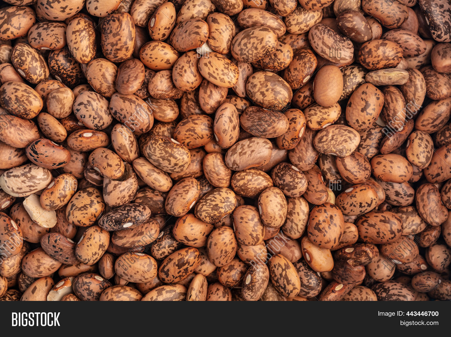 Pinto Beans Above Full Image & Photo (Free Trial) | Bigstock