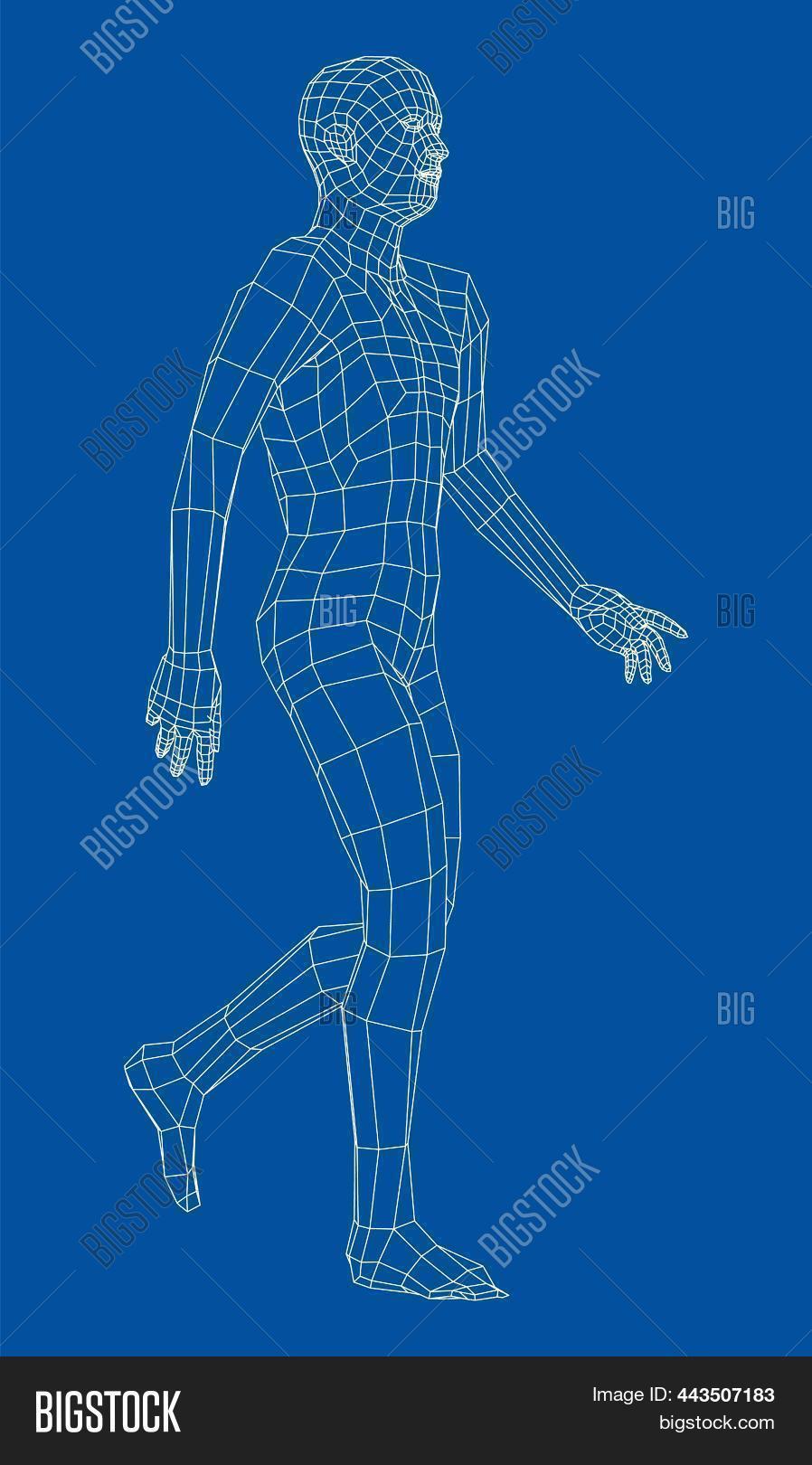 Wireframe Walking Man Image & Photo (Free Trial) | Bigstock