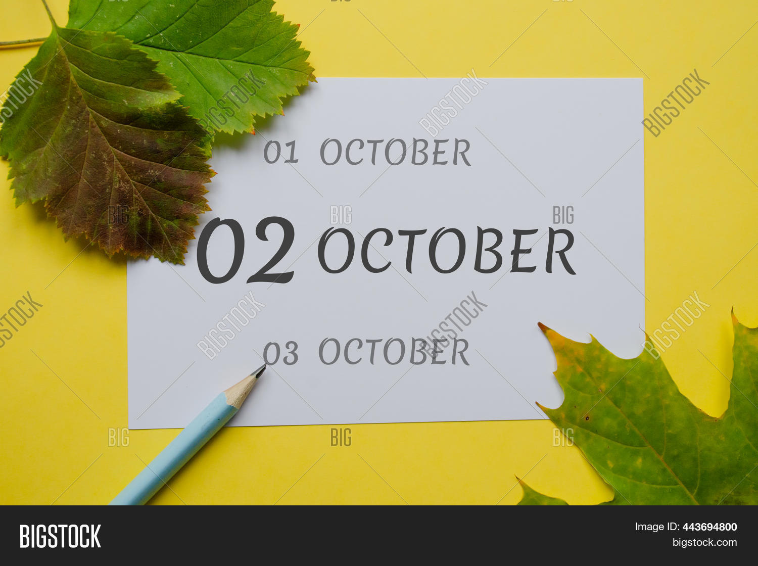 2 October Day Month On Image & Photo (Free Trial) | Bigstock