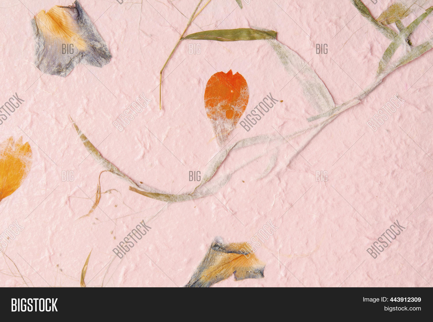 Mulberry Paper Red Image & Photo (Free Trial) | Bigstock