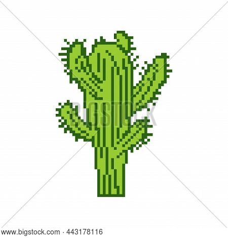 Cactus Pixel Art. 8 Vector & Photo (Free Trial) | Bigstock