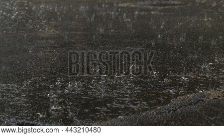 Raindrops Hitting Image & Photo (Free Trial) | Bigstock