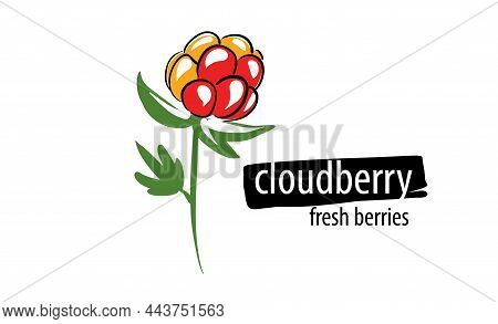 Cloudberry Logo