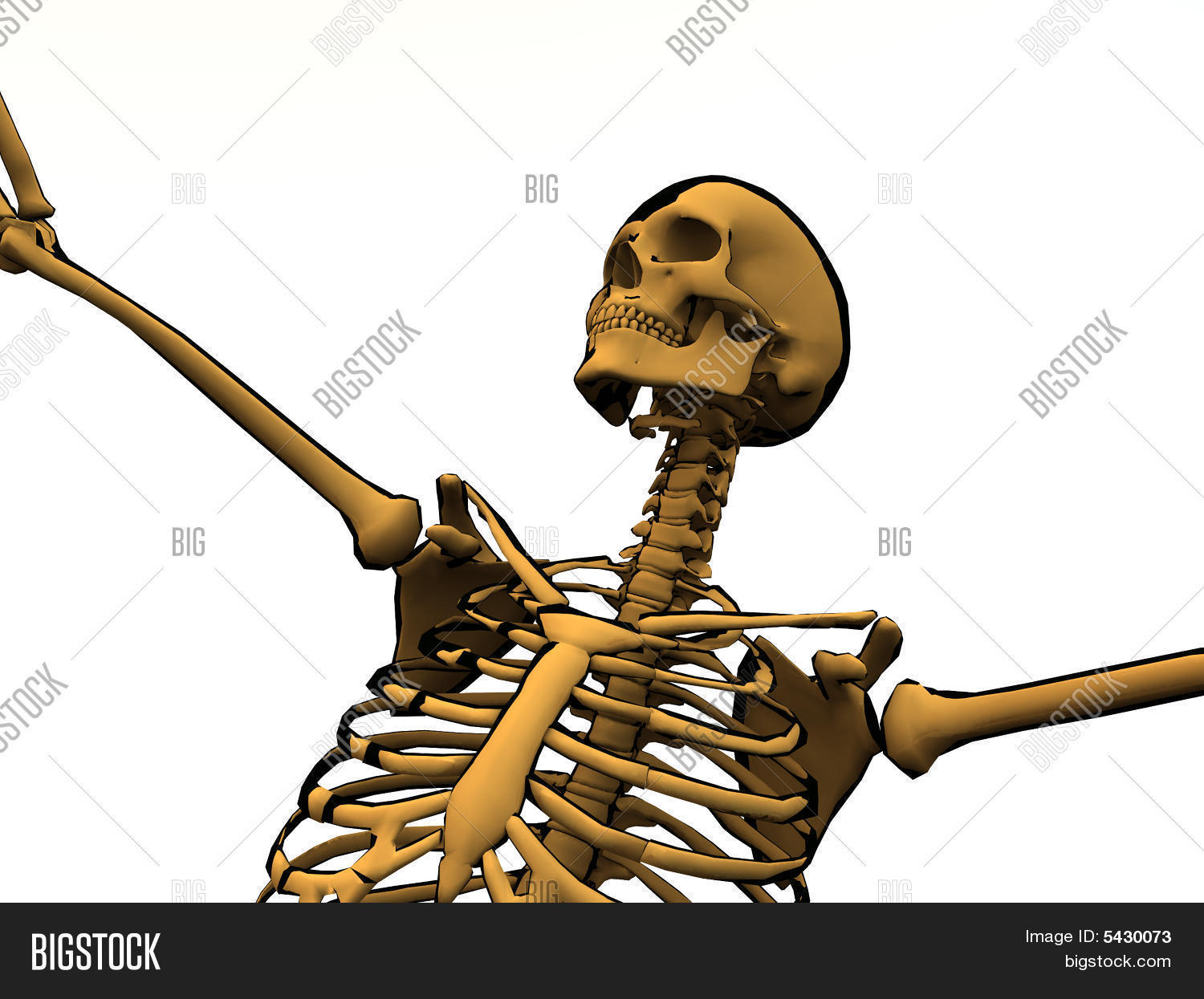 Cartoon Skeleton Image & Photo (Free Trial) | Bigstock