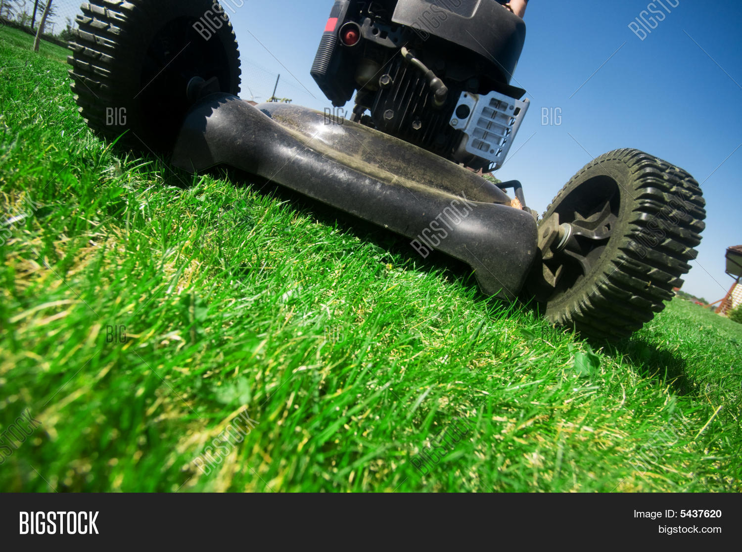 Mowing Lawn Image & Photo (Free Trial) | Bigstock