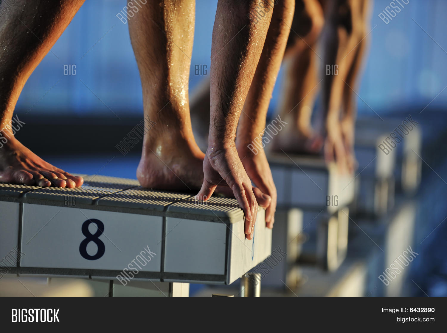 Swimming Start Image & Photo (Free Trial) | Bigstock